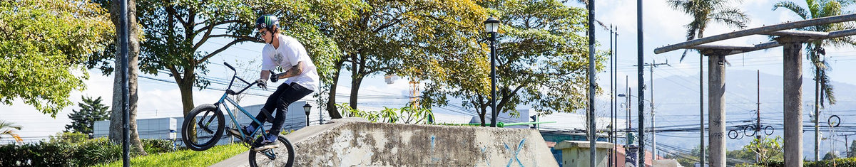 Freestyle – Mongoose International